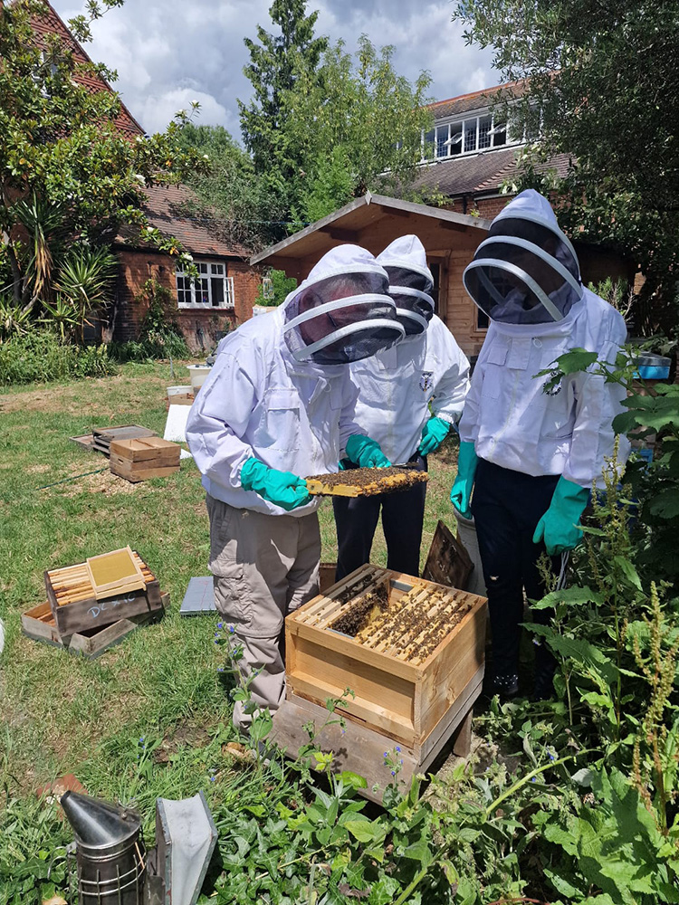 Kairos summer bee report | Kairos Community Trust