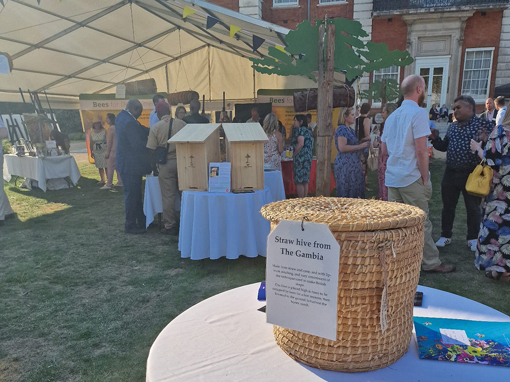 The Bee Garden Party buzz | Kairos Community Trust